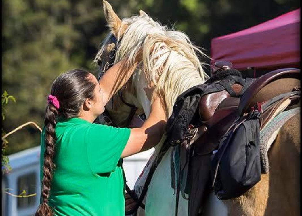 Home - Guardian Equine Veterinary Services